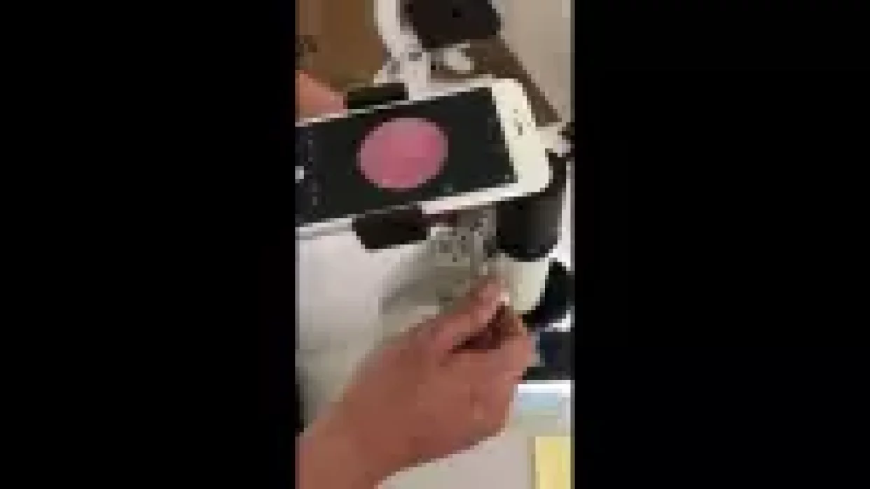 显微镜教程520