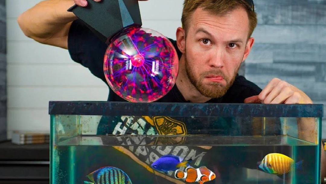 把等离子球放进水里,会导电吗小哥亲自测试后被结局意外到了