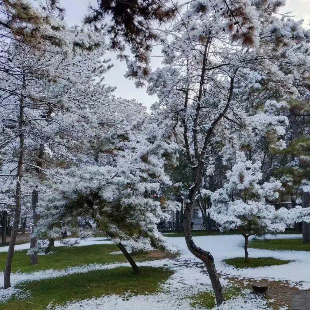 怎么相差不大哈 