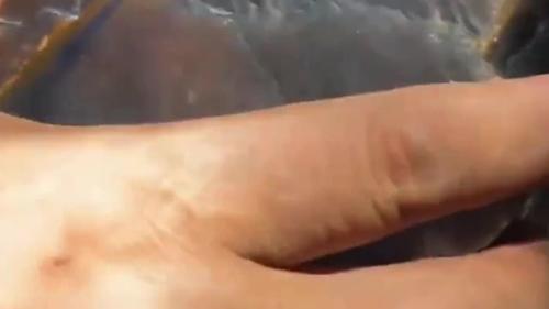 一块莫西沙老坑翡翠,皮壳表现不错,切开内部已经化紫了