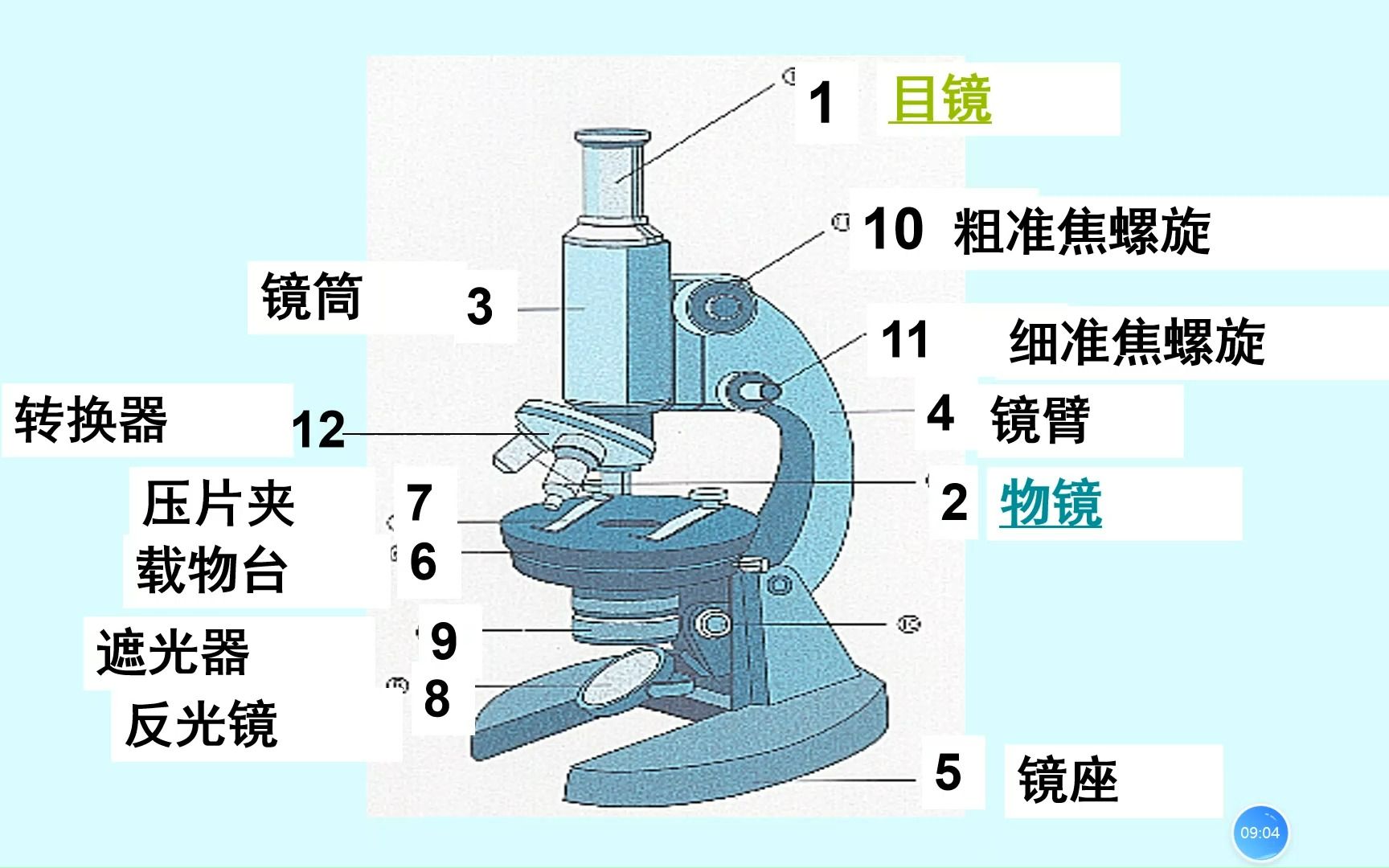 细胞的多样性和统一性(第一课时)
