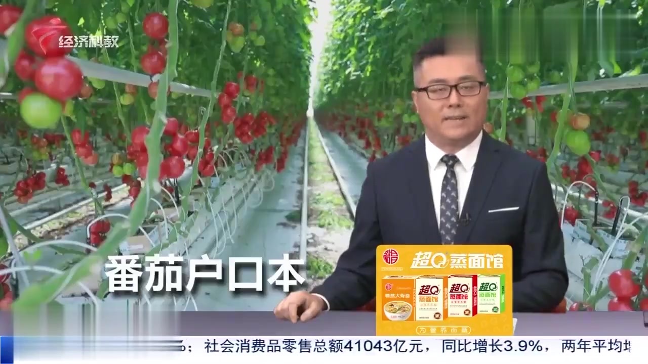 山东一温室给每株番茄建户口本:可追溯番茄生长全过程