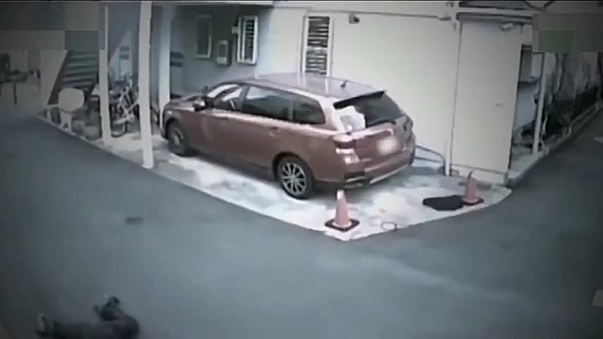 监控:男子突然凌空飞起,放慢视频速度,才知道真相是什么