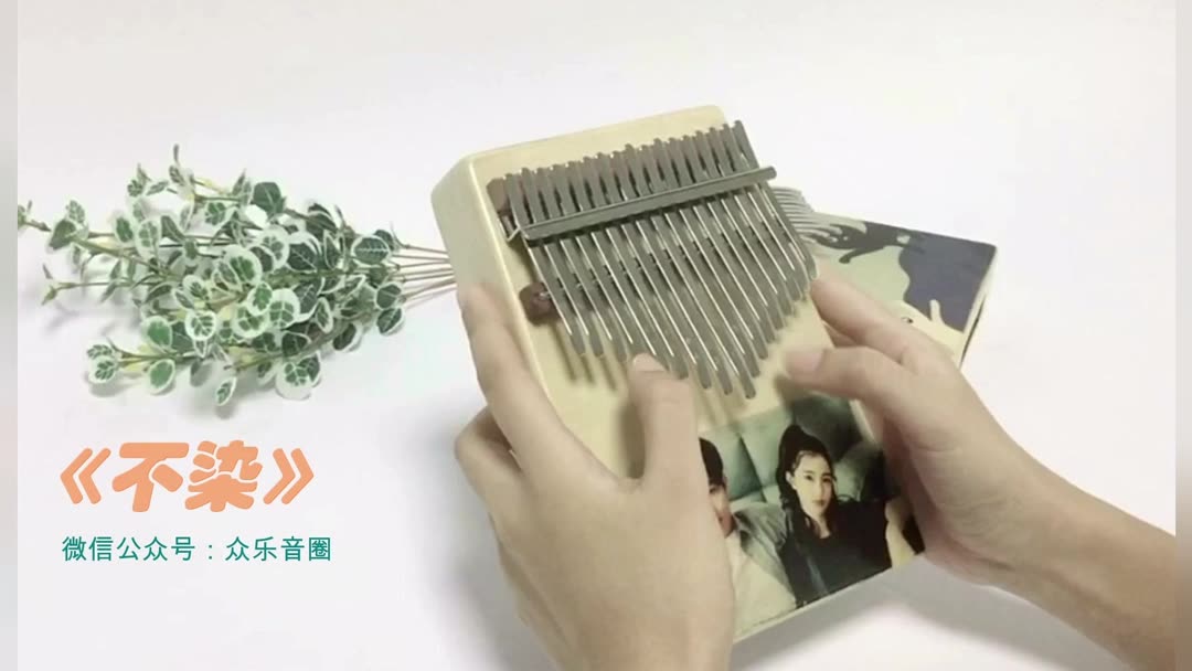 【拇指琴】【卡林巴琴】17音拇指琴《不染》弹唱演奏教学