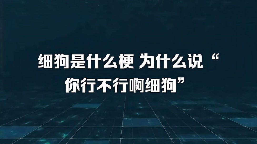 细狗是什么梗 为什么说“你行不行啊细狗”