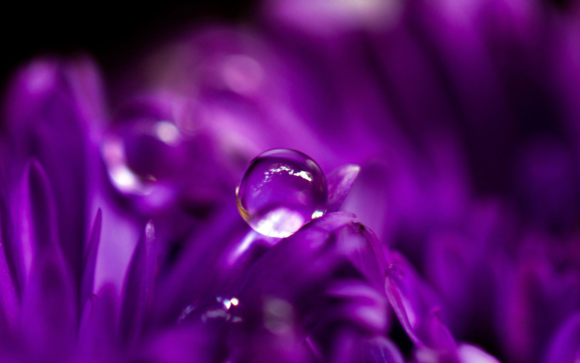 为生命加油喝彩 