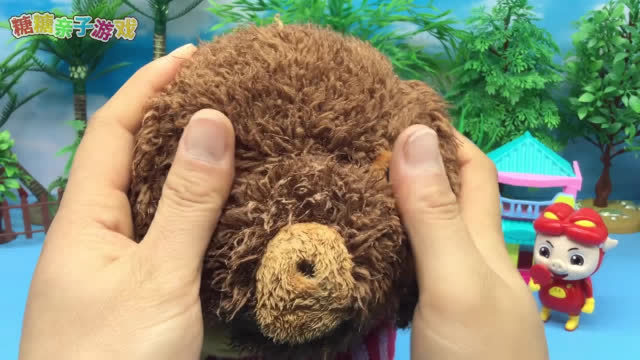 猪猪侠的狗狗表演唱歌跳舞