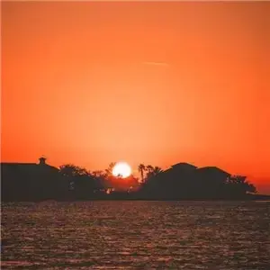 轻轻晚风落落日光 