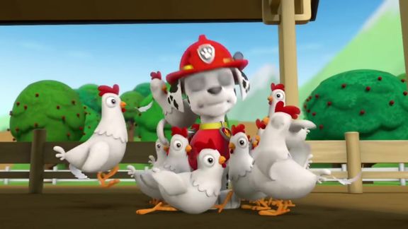 育儿动画 汪汪队立大功 找寻调皮的小鸡宝宝