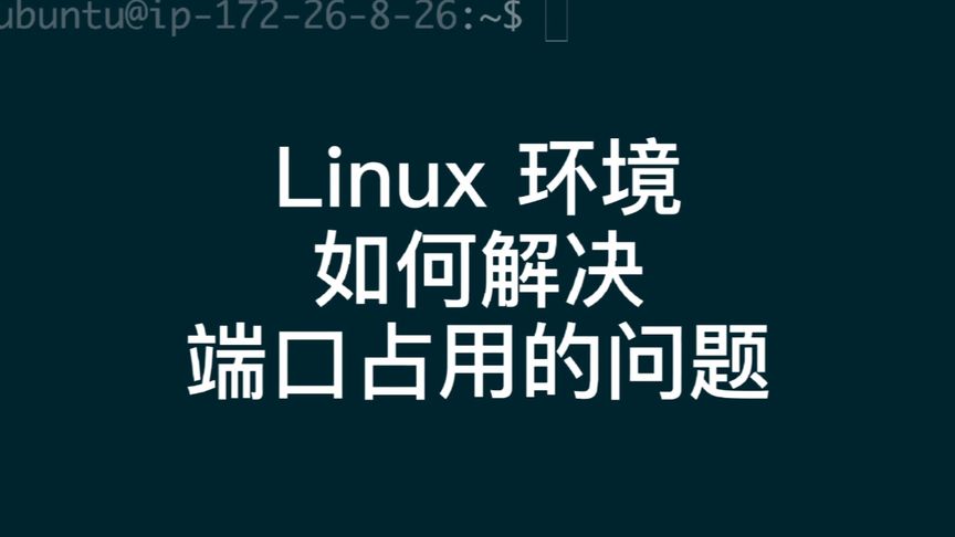 Linux 环境如何快速解决端口占用的问题?
