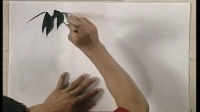 国画牡丹画法视频新闻国画鸡写意步骤视频