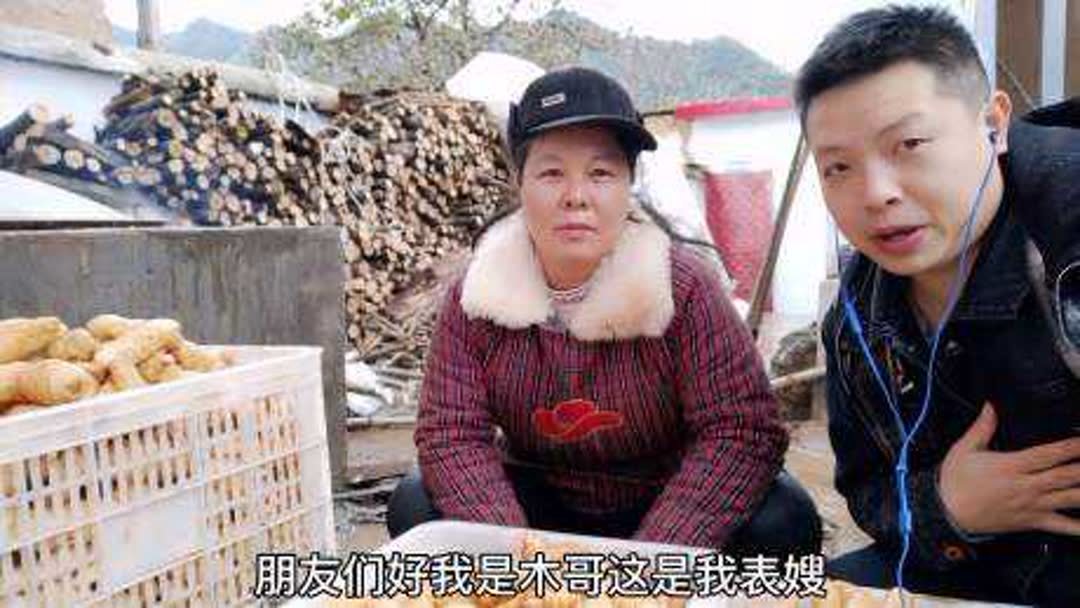 天麻片加工,零售加批发,一天出几吨,取得客户信任,看这个视频