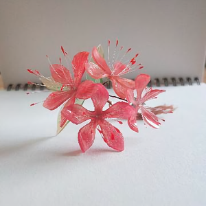 池沐沐沐沐 