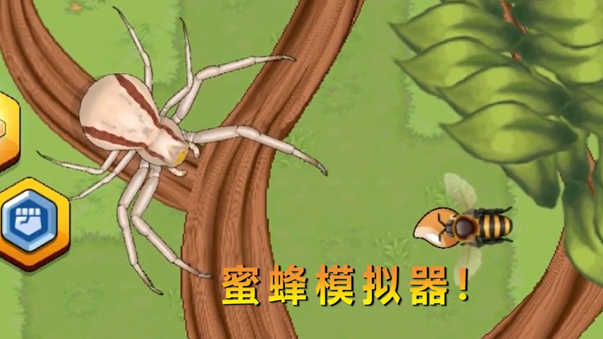 蜜蜂模拟器 模拟蜜蜂进行蜂巢建设 从一只小蜜蜂发展到十只!