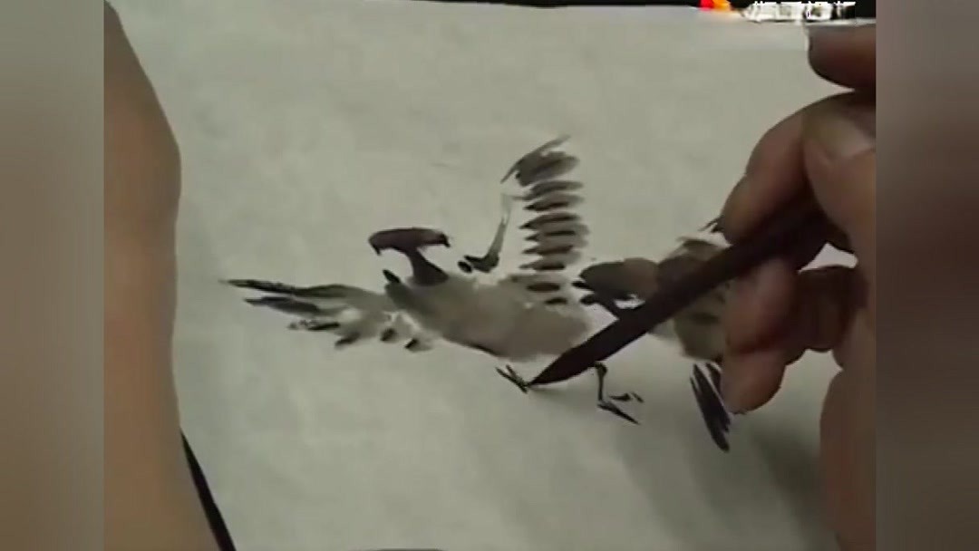 绘画教学:国画花鸟入门,鸟儿各种形态画法,值得收藏!