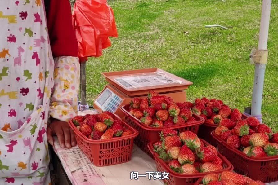 农村草莓那么贵你们知道真是价格吗?说出来有点吓人!