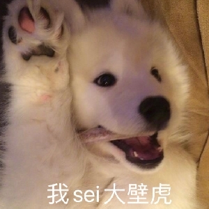 哈哈哈耶嘿哦豁啦 