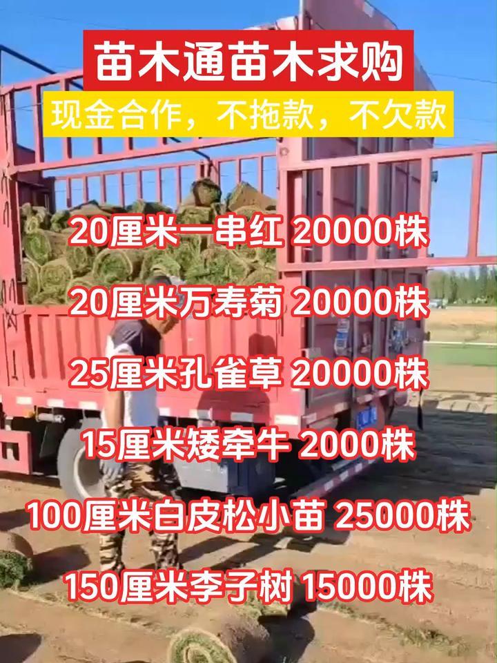 各位苗木界的朋友注意了,以下苗木品种正被热切寻找,货源充足者优先...
