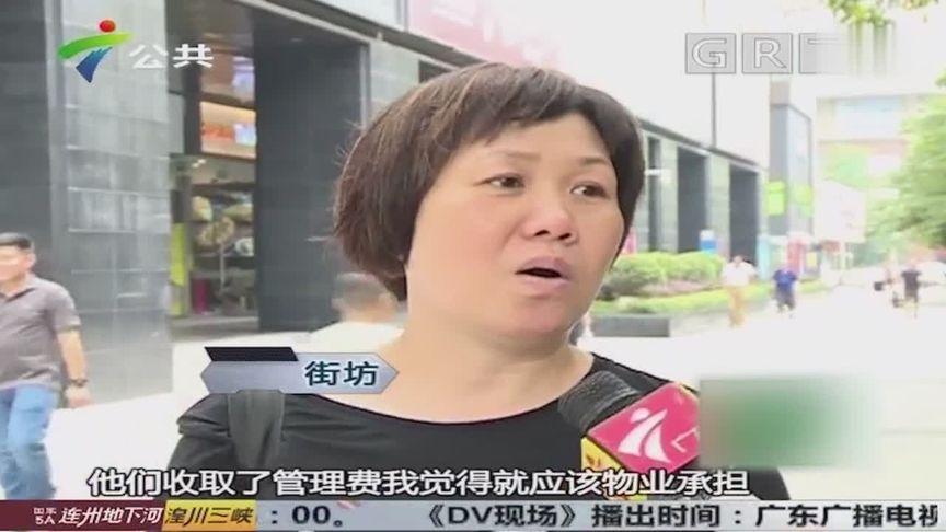 广州10月1日起实现新政,小区绿化用水不得摊给居民