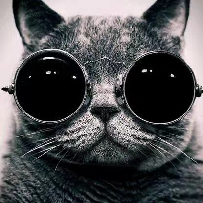 眼睛猫财经 
