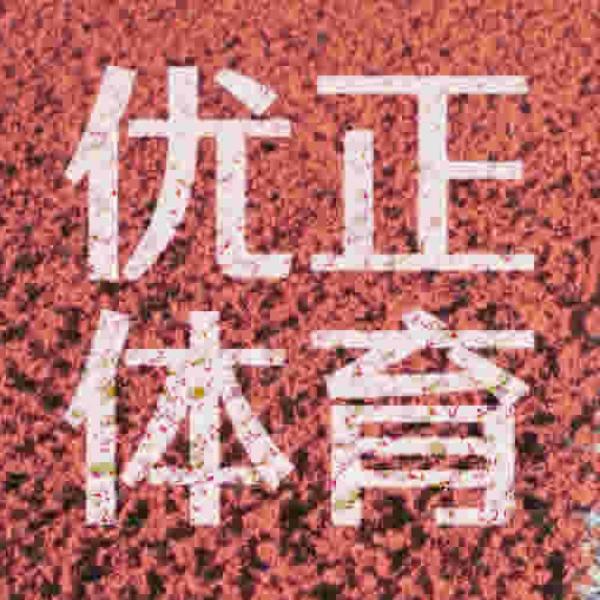 湖北优正体育 