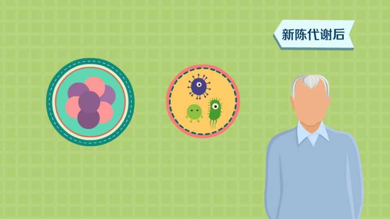 一分钟了解免疫系统