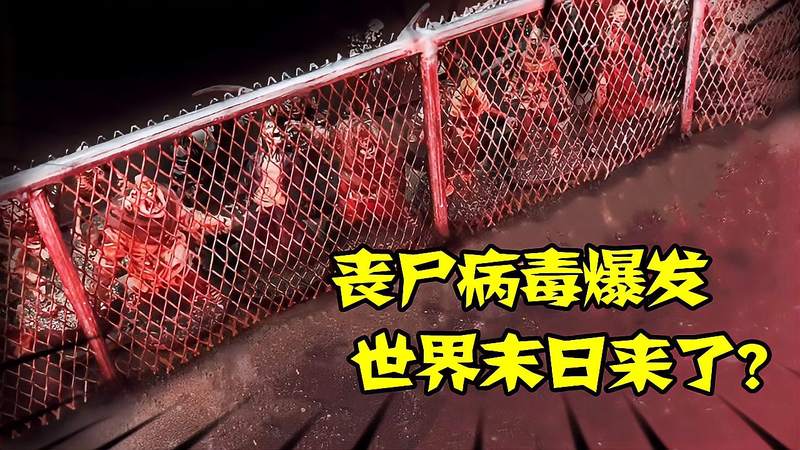 模型:假如某天真的爆发丧尸病毒!你会选择怎么办?等S吗?