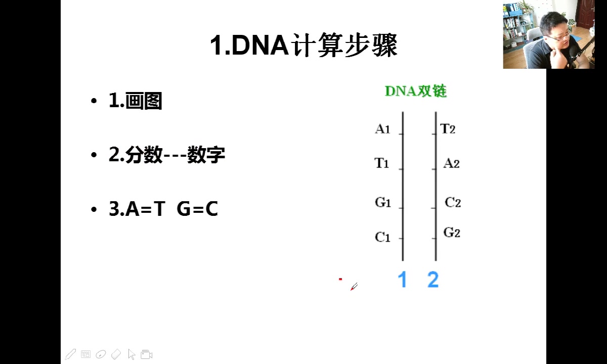 遗传物质的发现