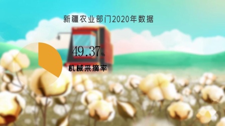 新疆棉科普小动画