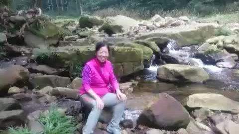 张家界森林公园。