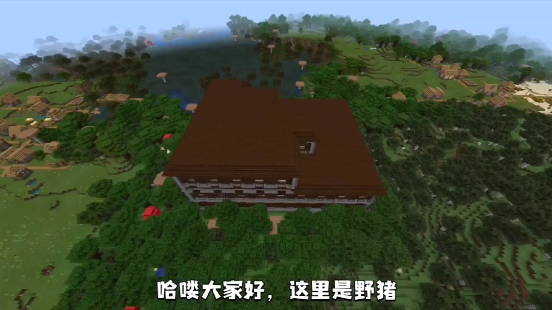 我的世界:出生府邸+4个村庄!超稀有种子推荐~