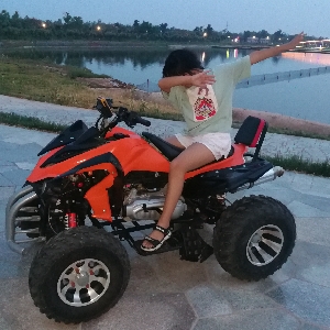 硬核奶油小学霸 