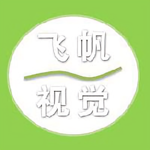 飞帆视觉 