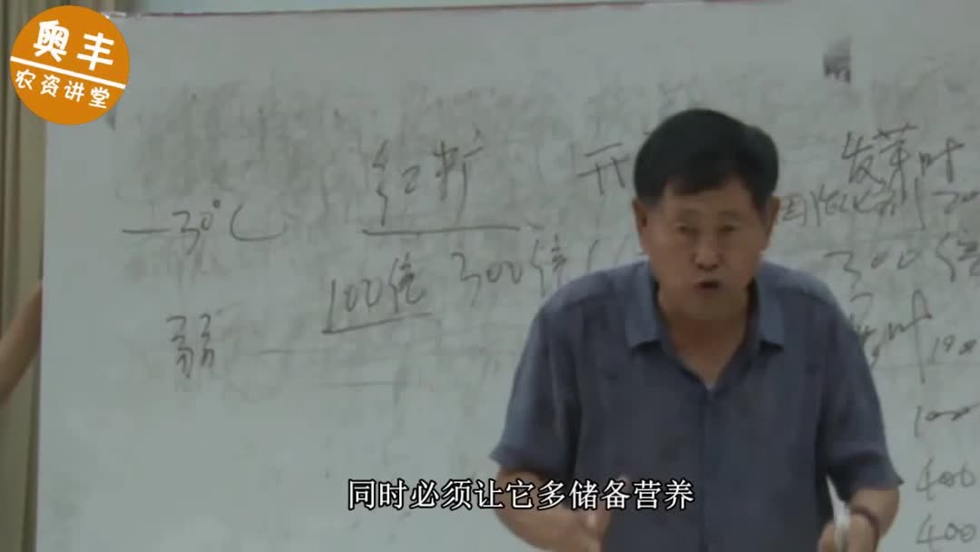 孙培博:有机枣树病害防治方案指导