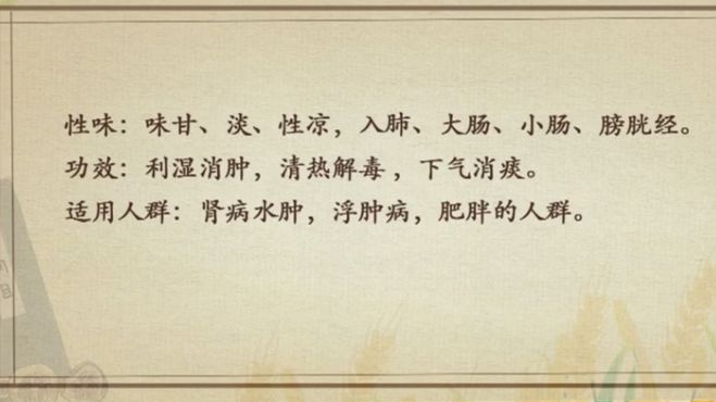 作为本草,冬瓜又有哪些药用价值呢?听听专家怎么说!