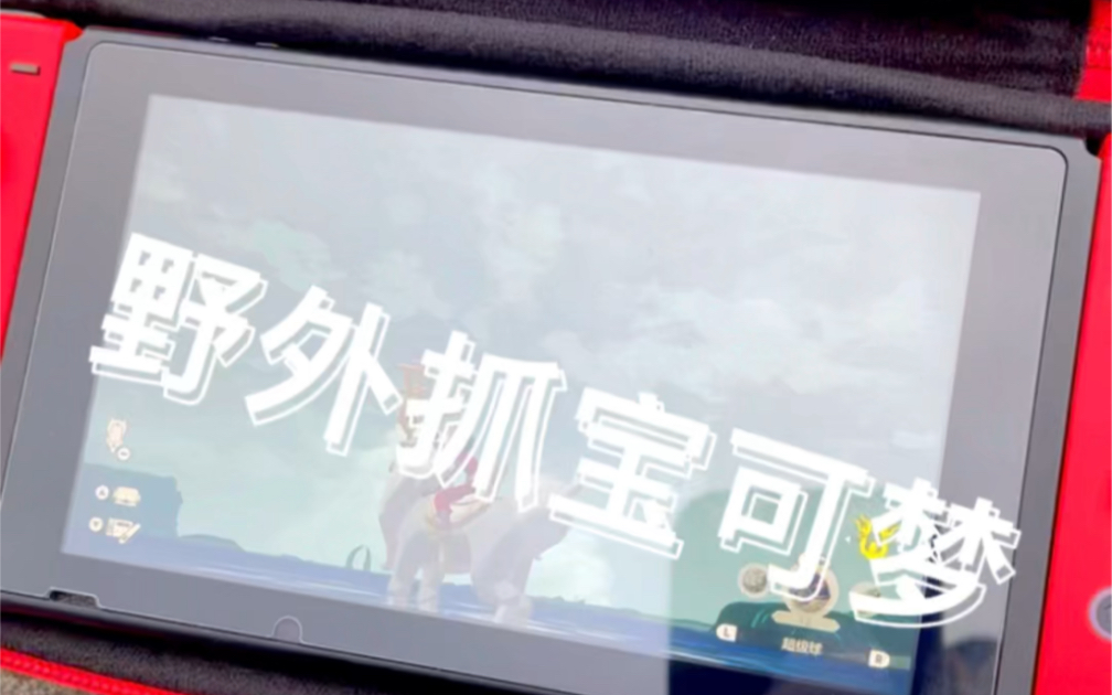 宝可梦传说阿尔宙斯,这种玩法你决定没试过,野外抓宝可梦