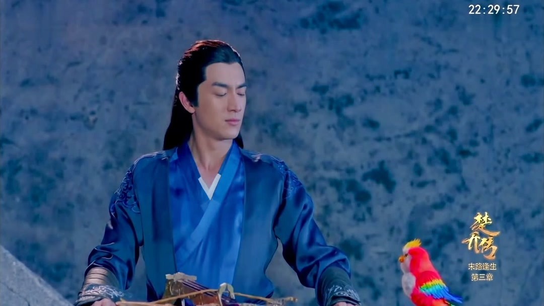 楚乔传:宇文玥养的鹦鹉,竟然当做信鸽传信,这招太好用了!