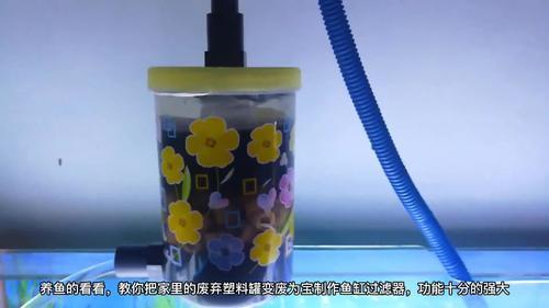 教你用塑料鱼缸制作鱼缸顶部过滤器,快速清洁鱼缸,过滤功能很强大