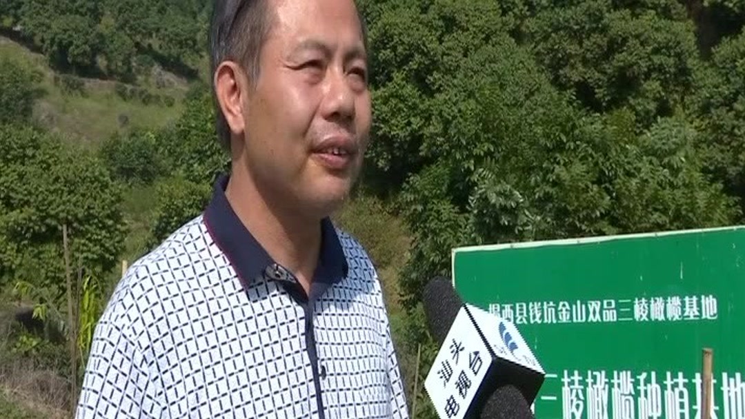 富含生 (汕头电视台民生档案)揭西养生橄榄酒
