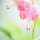 你要感谢告诉你缺 