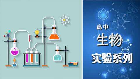 第15集 过氧化氢不同条件下分解