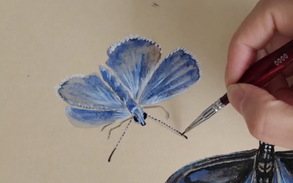 【蝴蝶自来】之二,中国画,水墨,原创手绘,绘画过程!