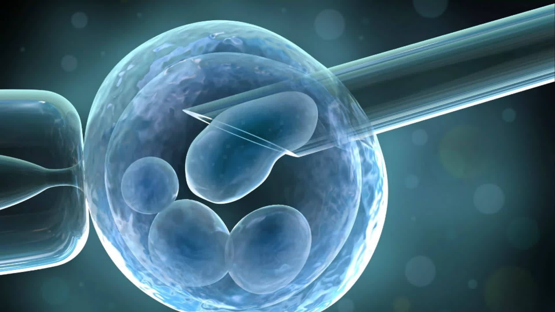 试管婴儿有多疼?镜头记录试管婴儿全过程,看完心疼女朋友!