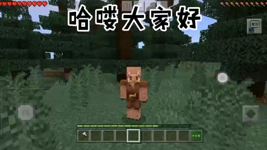 我的世界随机模组生存(1)