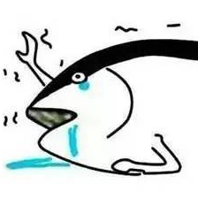 花里胡哨的胡砸 