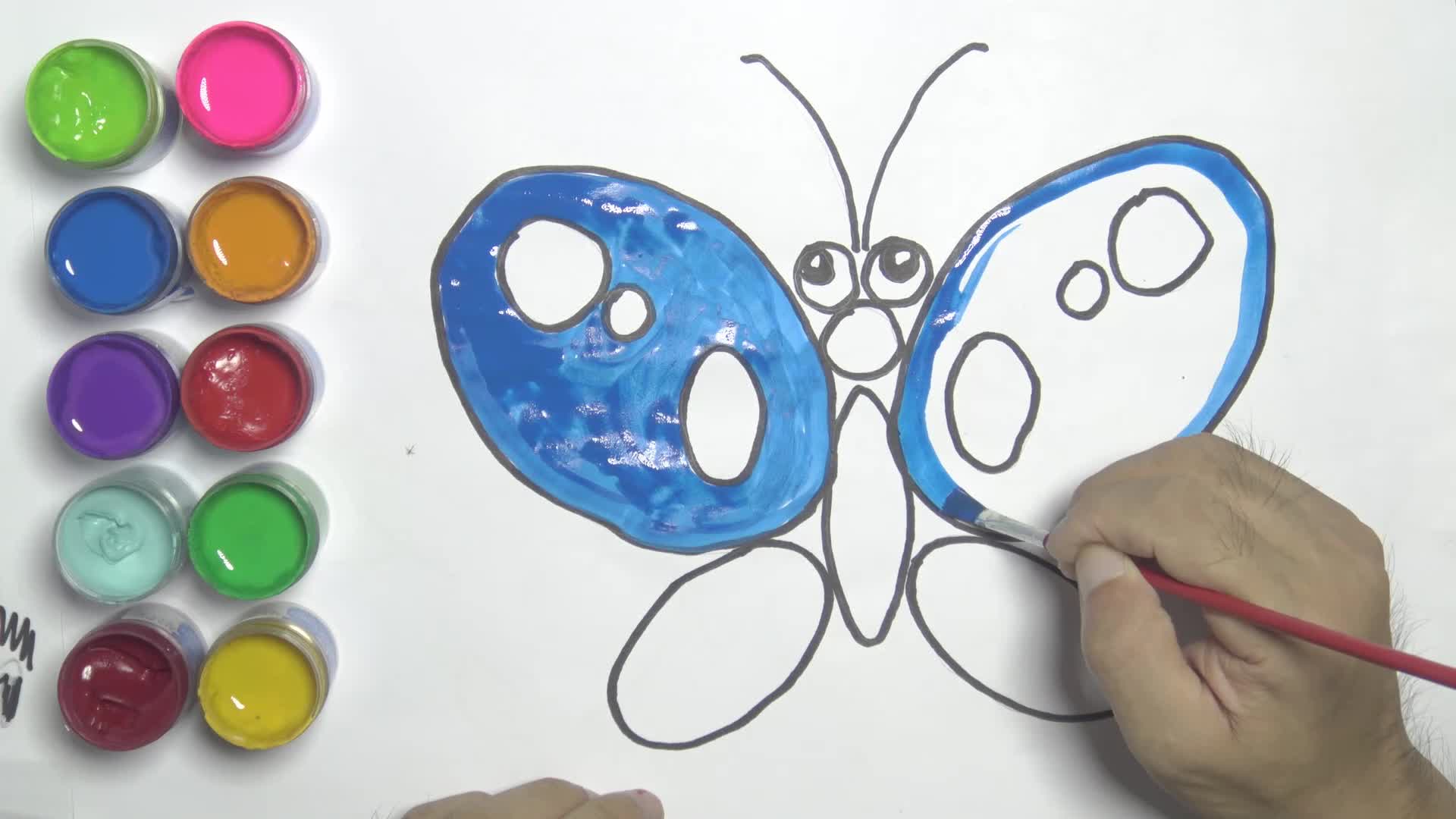 如何画蝴蝶- 儿童绘画 - 学习儿童色彩 儿童简笔画