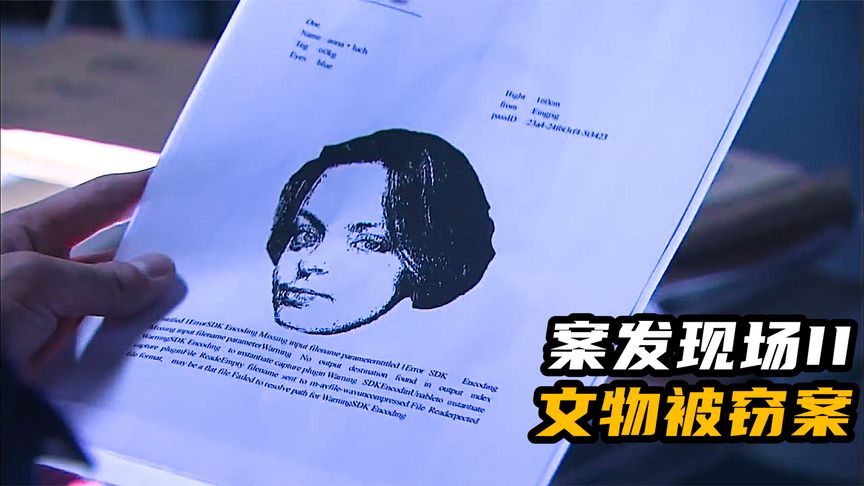 国宝文物被窃,线索甚少,谁料竟从一学生身上发现破案线索,悬疑