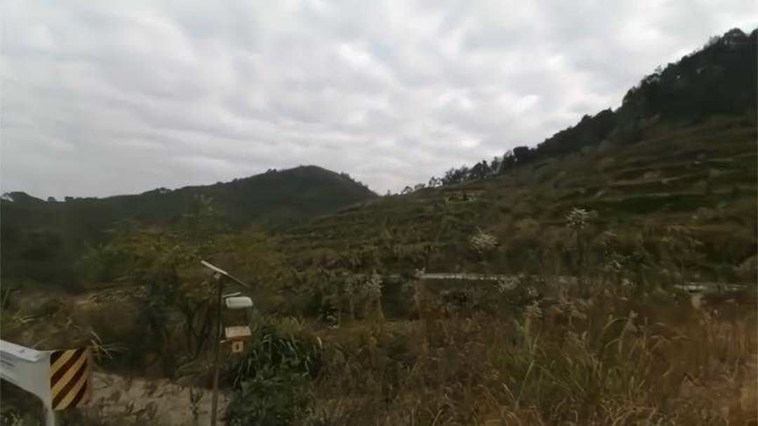 民间故事:大樟树晒粮交通隐患大 樟树交警积极开展劝导宣传