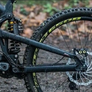 柯南这周去谁家 