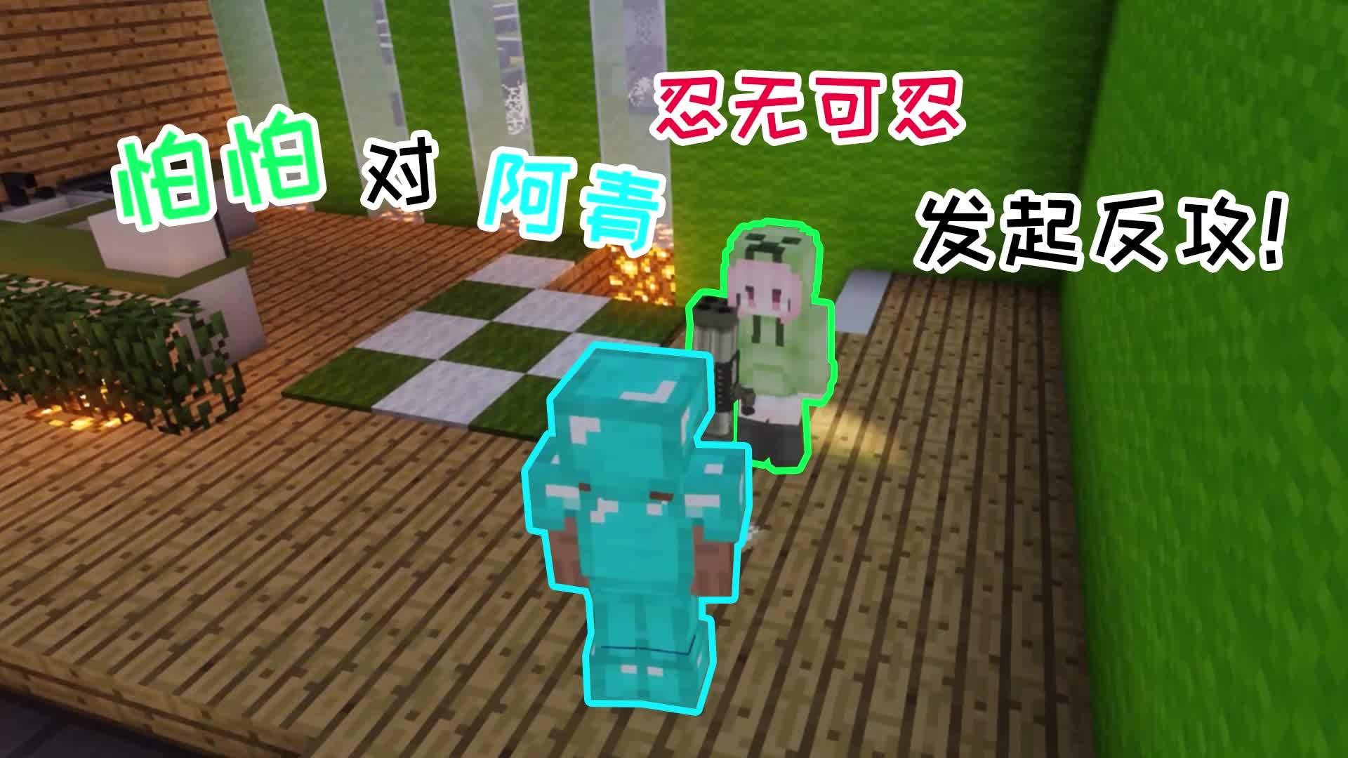 我的世界:怕怕对阿青忍无可忍,决定反击